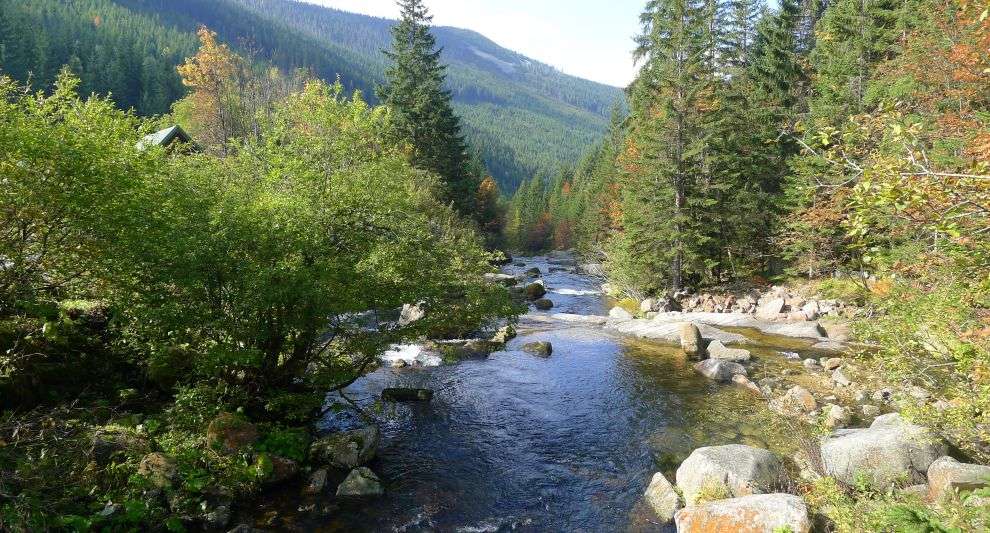 A walk along the Devil's Ditch - A small river full of artificial ...