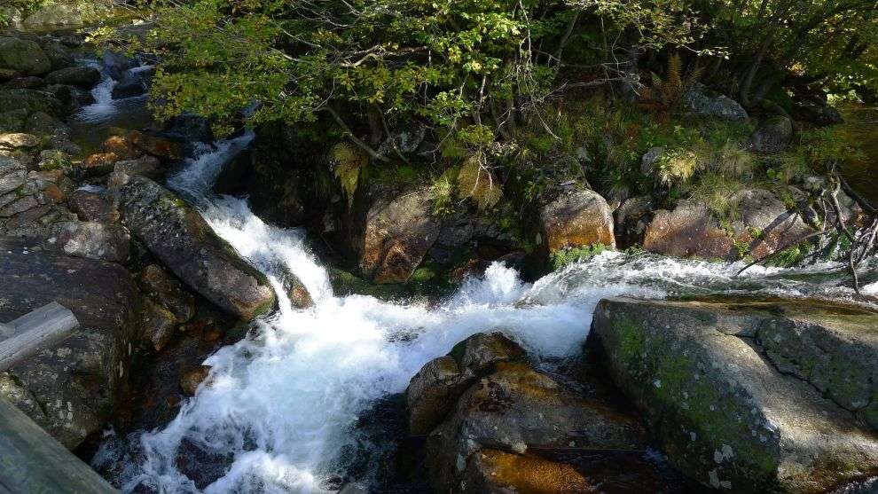 A walk along the Devil's Ditch - A small river full of artificial ...