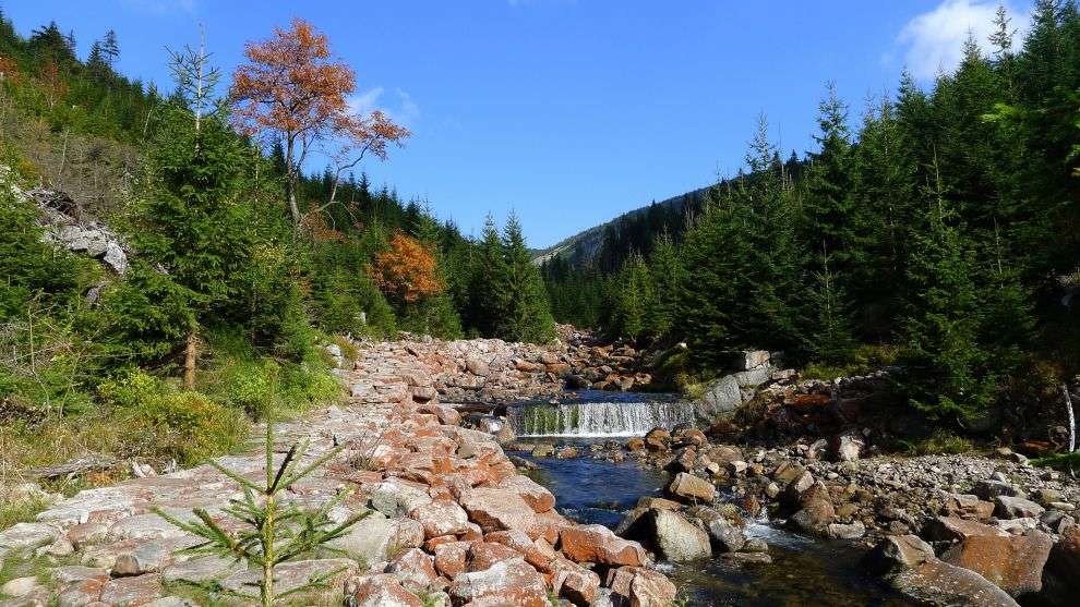 A walk along the Devil's Ditch - A small river full of artificial ...