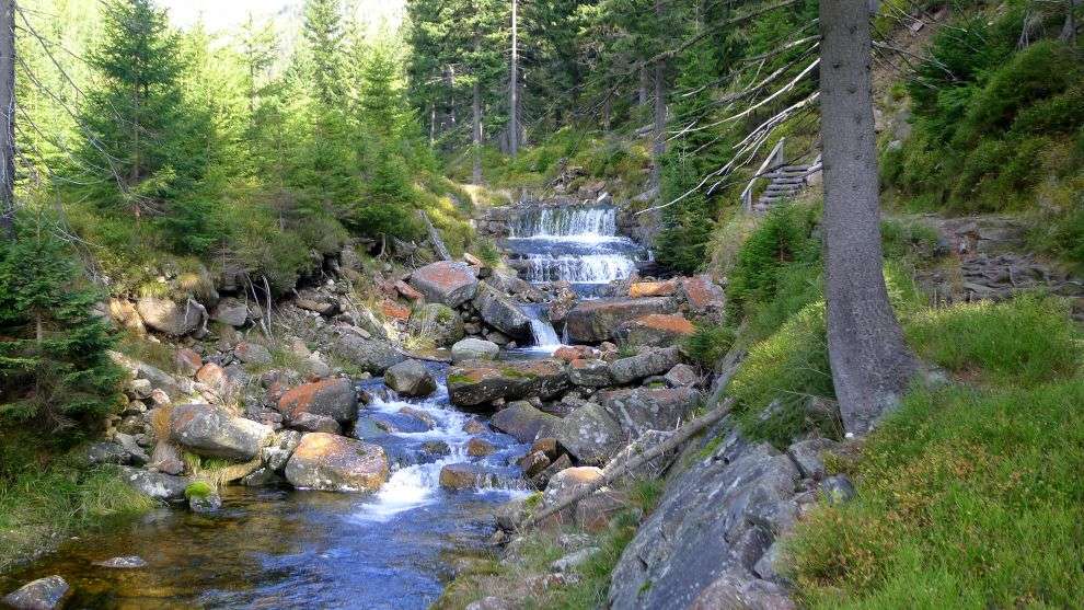 A walk along the Devil's Ditch - A small river full of artificial ...