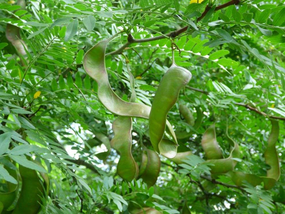 A tour of the Sázava Monastery - The third oldest male monastery in ...
