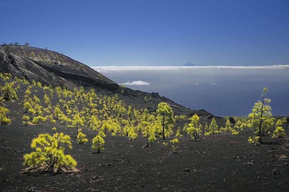 Výstup na Volcán de San Martín - Na jihu Ruta de los...