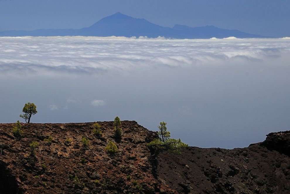 Ascent to Volcan de San Martin - In the south of Ruta de...