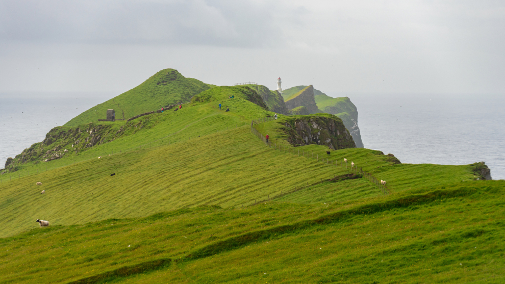 Visite de l'île de Mykines